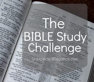 The Bible Study Challenge